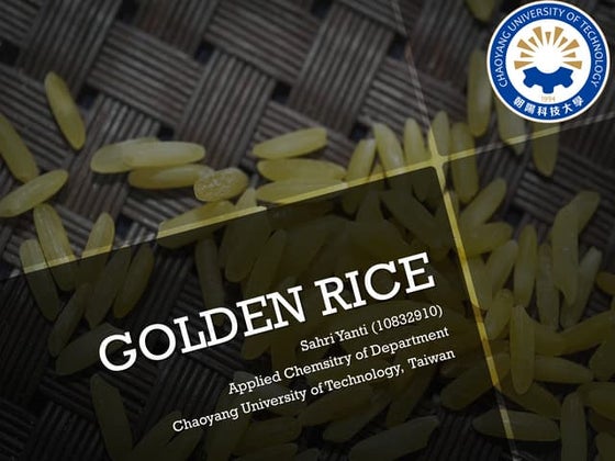 GOLDEN RICE; The genetically modified crop in India | PPTX