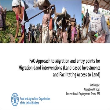 FAO Approach to Migration and entry points for Migration-Land ...