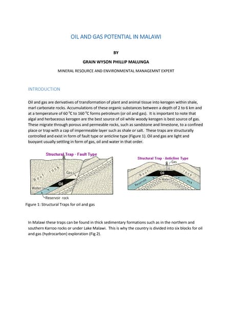 Lepanto Consolidated Mining Company Introduction | PPT
