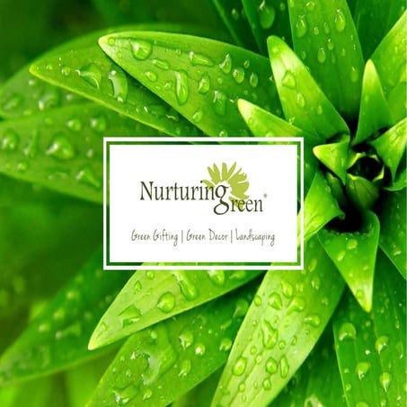 Nurturing Green Co Presentation | PDF