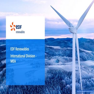 EDFR Company Profile | PDF