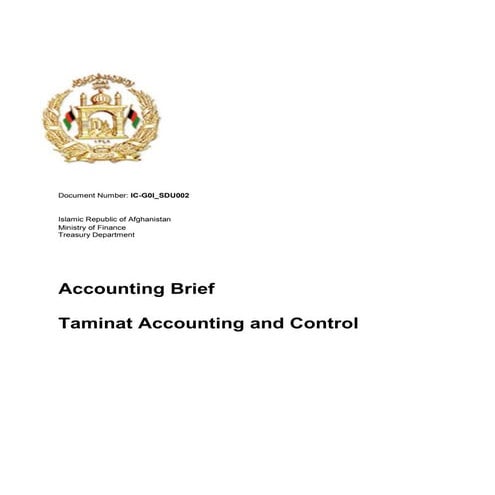 Accounting for Taminat_VIERNUM | PDF