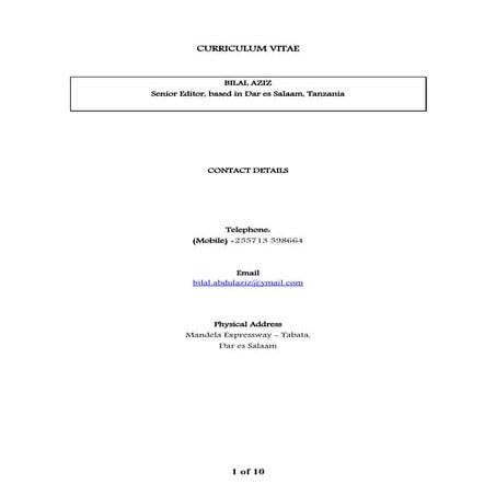 CV_Martin_Hamer | DOCX