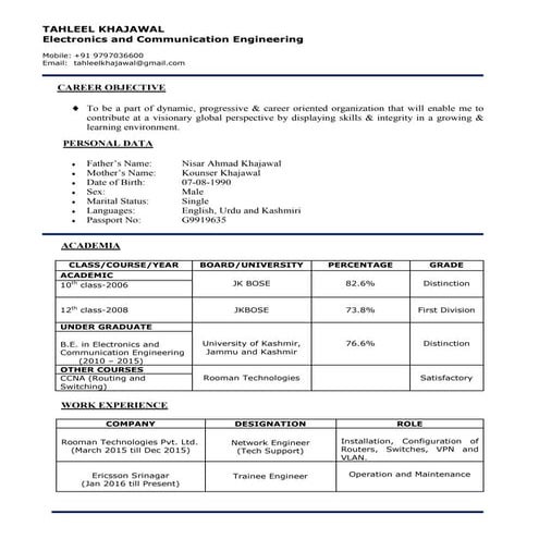 Tahleel exp CV | PDF | Computing | Technology & Computing