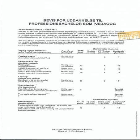 Bevis for bachalor som pædagog | PDF