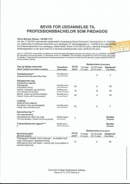 Playful Learning Kursus Bevis | PDF