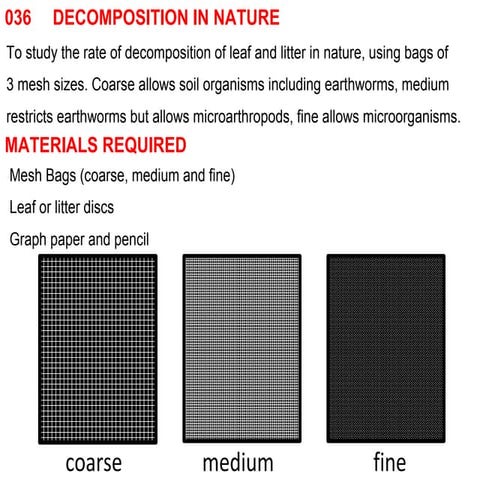036 decomposition in nature | PPT