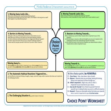 Choice_Points-V2-detailed_and_minimal | PDF
