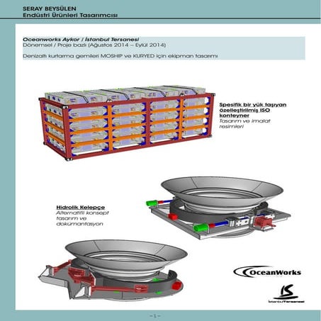 Seray Beysülen - Portfolyo | PDF