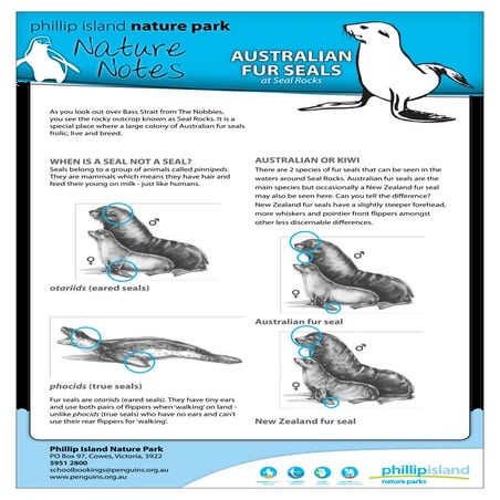0382 pnp2 nature notes seals v4 | PDF