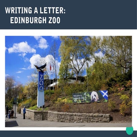 Edinburgh zoo | ODP