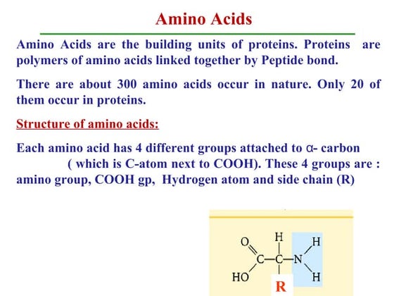 Amino acids and protein | PDF | Biological Sciences | Science