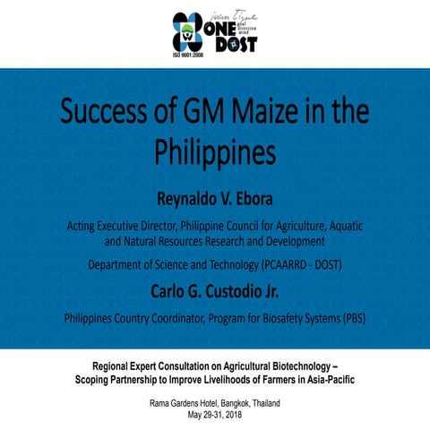 Success of GM Maize in Philippines | PPTX