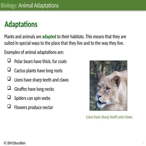 JSH03B002 Animal Adaptations; Biology Education ages 11-14 | PPTX