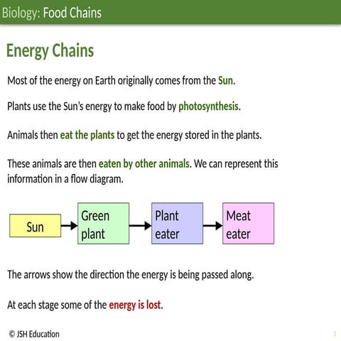 JSH03B004 Food Chains; Biology Education ages 11-14 | PPTX