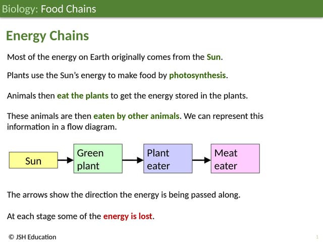 Introduction to Food Chains | PPT
