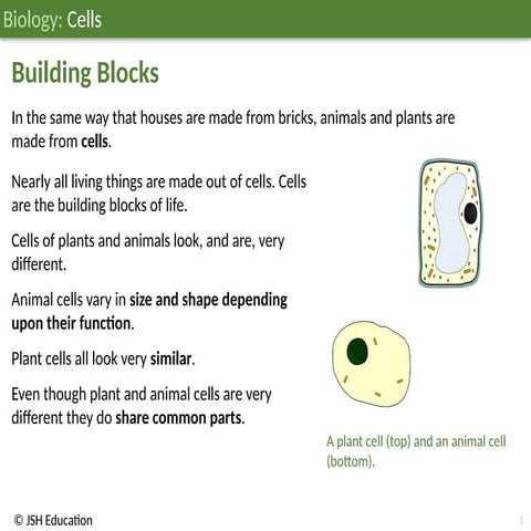 JSH03B007 Cells; Biology Education ages 11-14 | PPTX