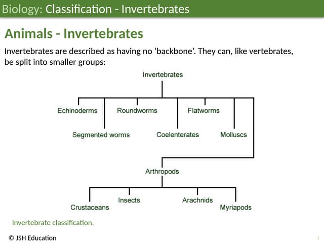 Grade 6 PPT_Science_Q2_W6_Invertebrates.pptx