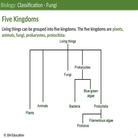 JSH03B014 Classification - Fungi; Biology Education ages 11-14 | PPTX