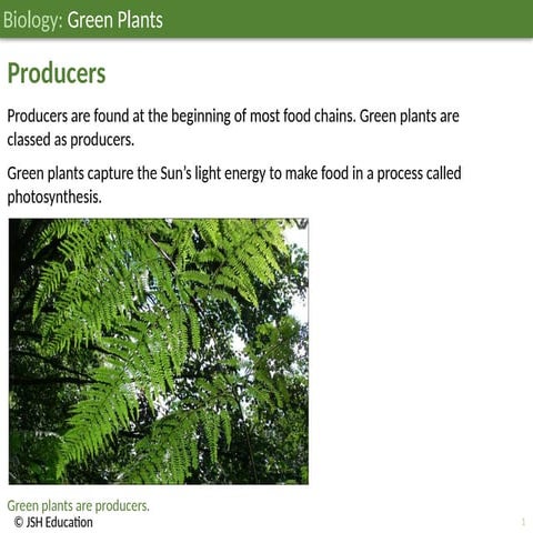 JSH03B046 Green Plants; Biology Education ages 11-14 | PPTX