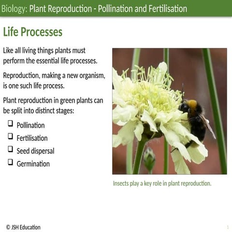 JSH03B049 Plant Reproduction - Pollination and Fertilisation; Biology ...