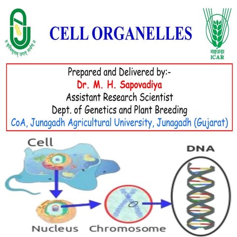03 Cell Organelles.pdf