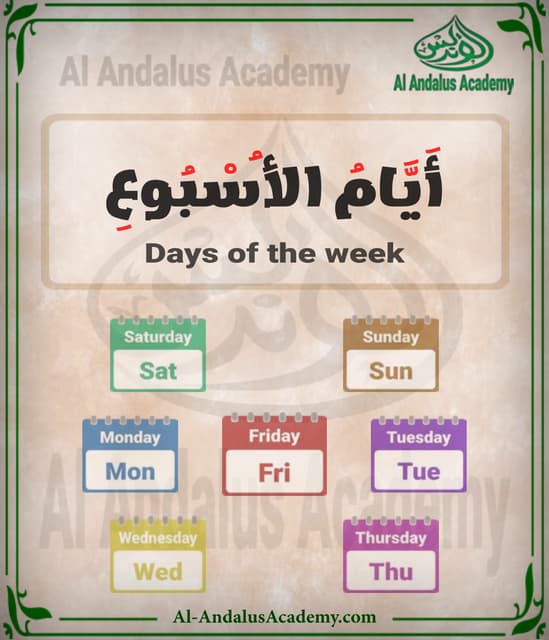 Daily routine in Arabic | PDF