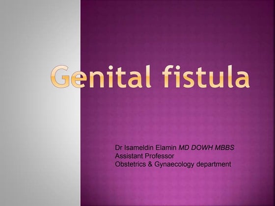 Total abdominal hysterectomy with bilateral salpingo-oophorectomy ...