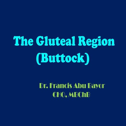 Anatomy of Gluteal Region | PPTX
