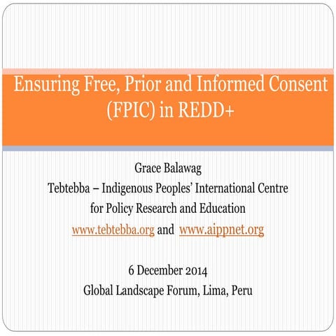 Ensuring Free, Prior and Informed Consent (FPIC) in REDD+ | PPT