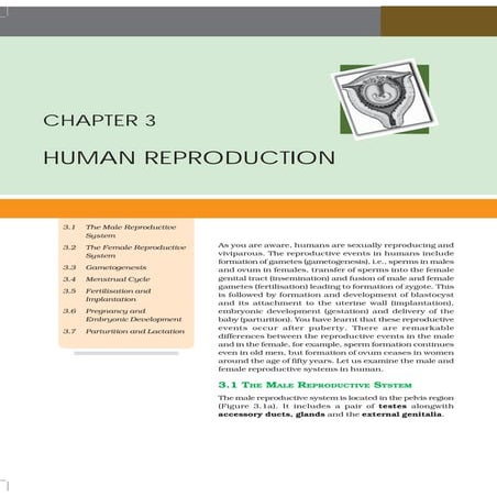 03 human reproduction | PDF