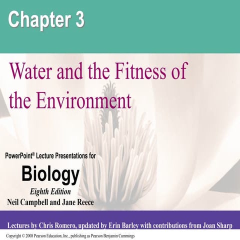 03_Lecture_Presentation_0080.ppt chapter 3 | PPT | Free Download