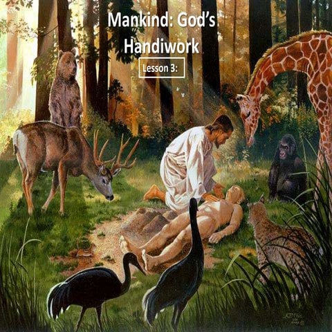 03 mankind god s handiwork | PPTX