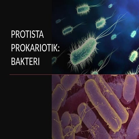 Isolasi dan morfologi koloni bakteri | DOC
