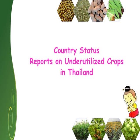 Country Status Reports on Underutilized Crops by Nuengruethai ...