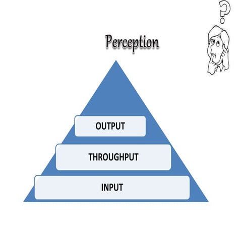 03 perception | PPTX