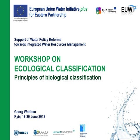 Principles of biological classification | PDF