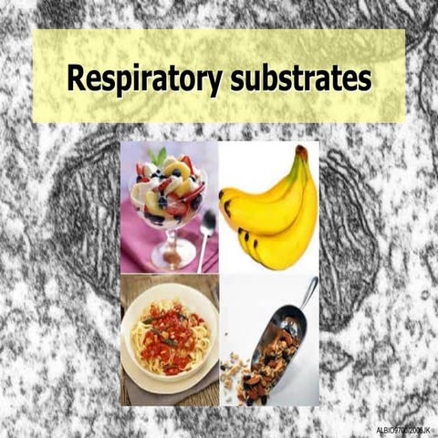 03 Respiratory Substrates | PPT | Chemistry | Science