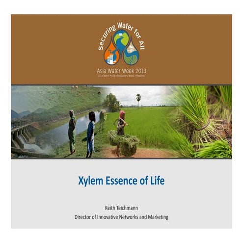 Xylem Essence of Life | PPT
