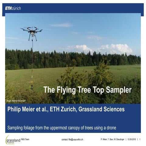The Flying Tree Top Sampler | PPTX