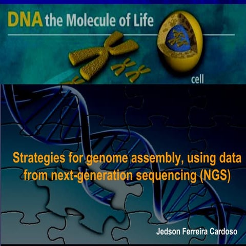 03 strategies for genome assembly | PPT