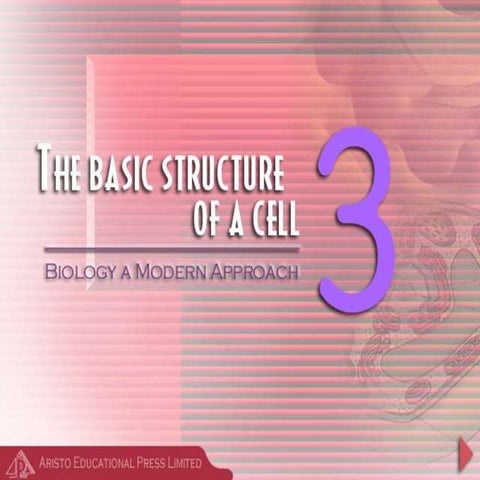 03 the basic_structures_of_a_ | PPT