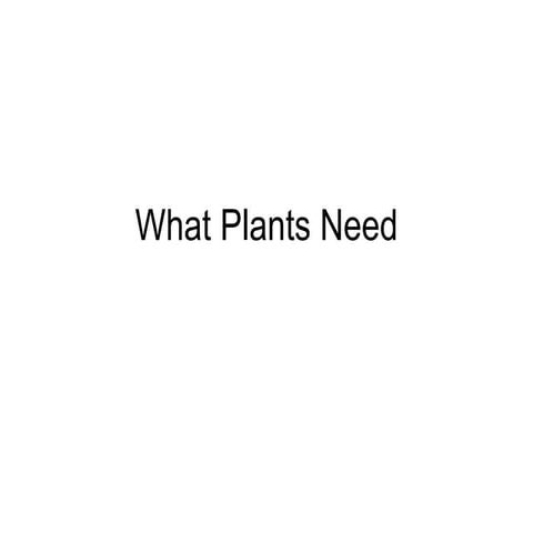WHY DO WE NEED PLANTS - YEAR 8 PHOTOSYNTHESIS | PPTX