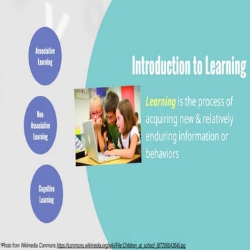 04-01 Learning & Classical Conditioning.pptx