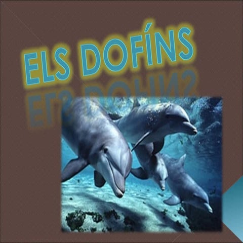 04 1-els dofins- laura i ohiane | PPT