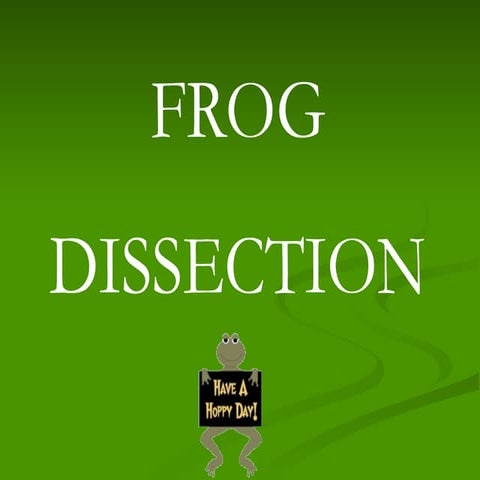 Presentation of Frog Dissection for all. | PPT