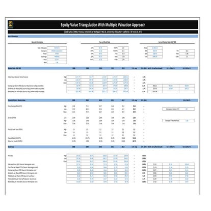 04. equity analysis worksheet (deb sahoo) | PDF