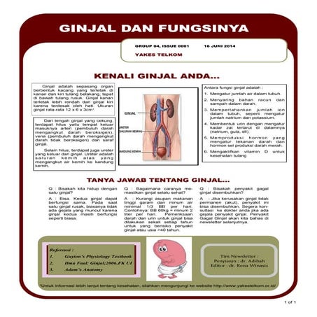 Fungsi ginjal | PDF