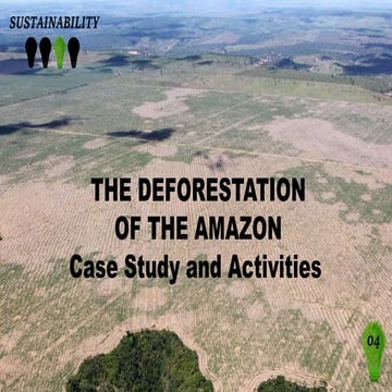 SUSTAINABILITY - THE DEFORESTATION OF THE AMAZON BASIN | PPTX