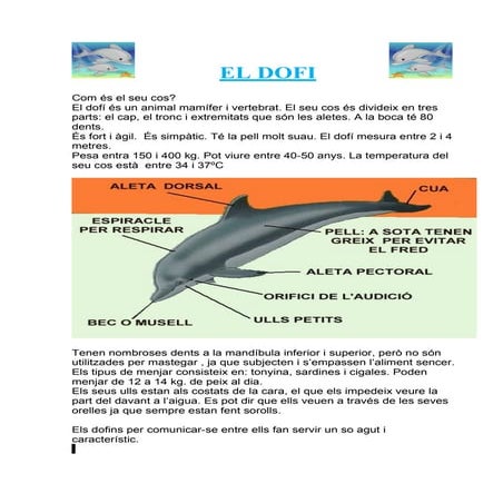 04 3-el dofi- maria | DOC